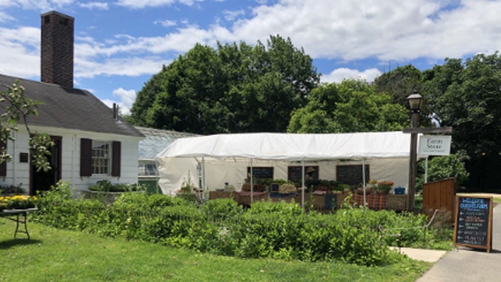 'Such A Great Wow Factor': Checking Out The Queens County Farm Museum ...