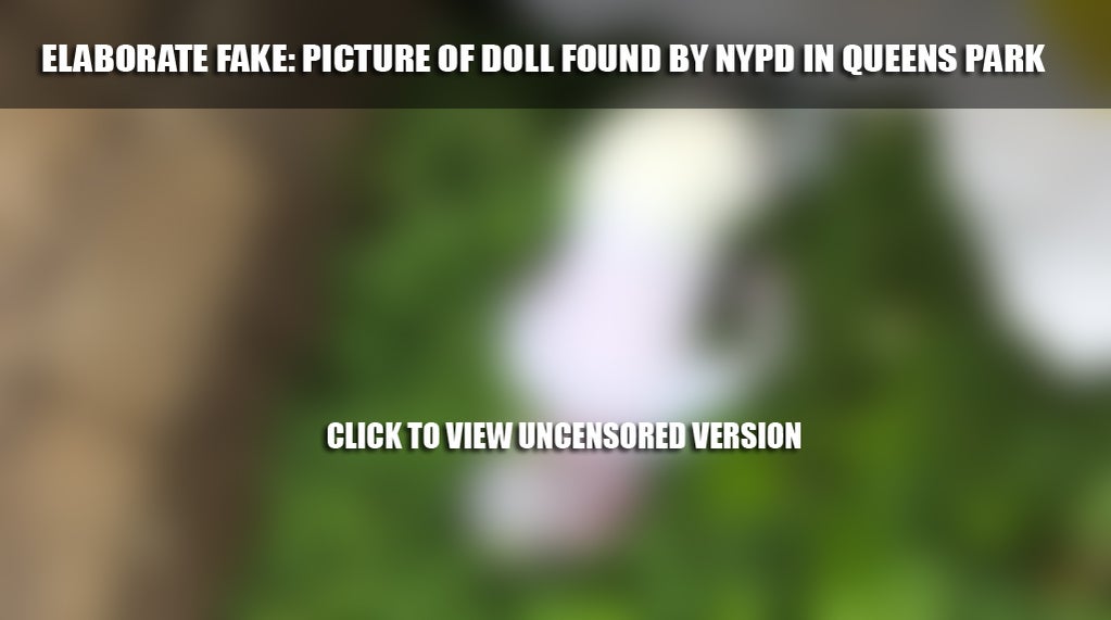 ELABORATE PRANK: 'Baby' Found Dead Near Park In Queens Is Actually Doll ...