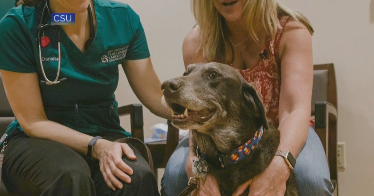 'It Could Quite Possibly Prevent Cancer': Researchers Testing New ...