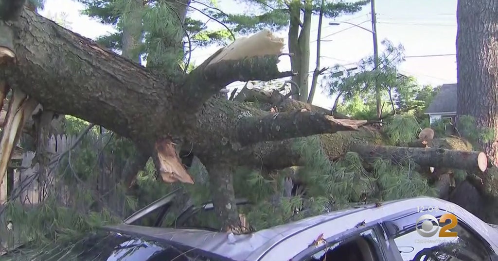 2 Dead, Thousands Without Power After Storms Tear Through Tri-State ...