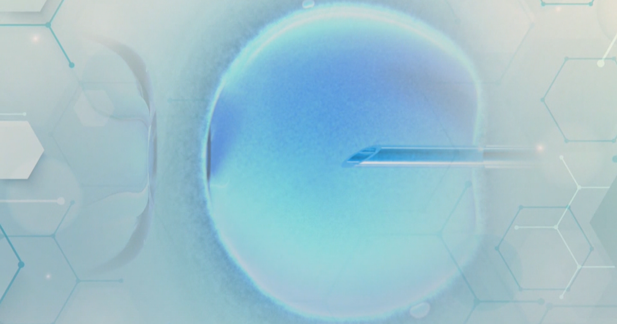 Is IVF protected in Texas? What 2 state lawmakers say - CBS Texas