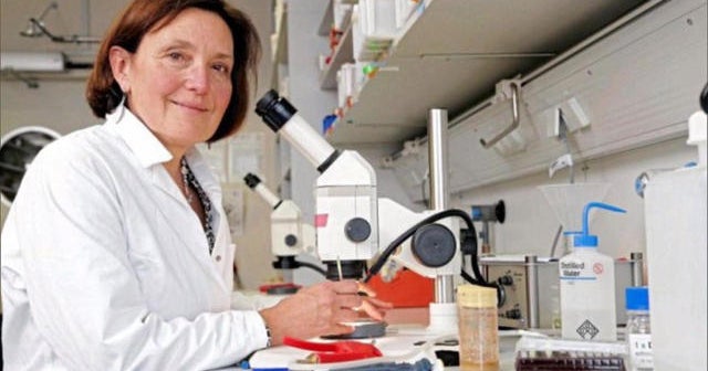 American scientist murdered in Crete suffered a slow death, forensic ...