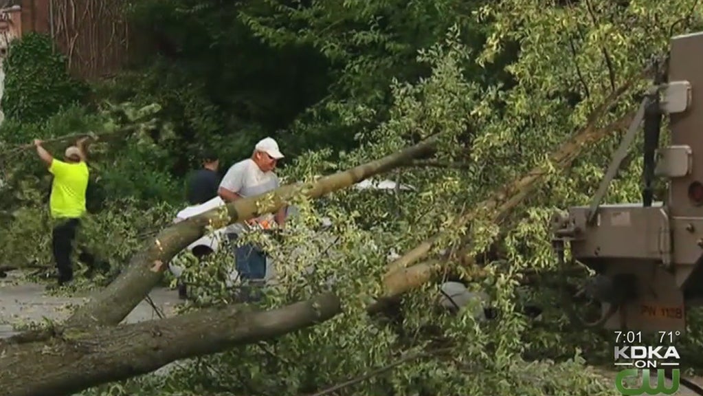 Tree Falls On Top Of Car, Blocks Road In Manchester - CBS Pittsburgh
