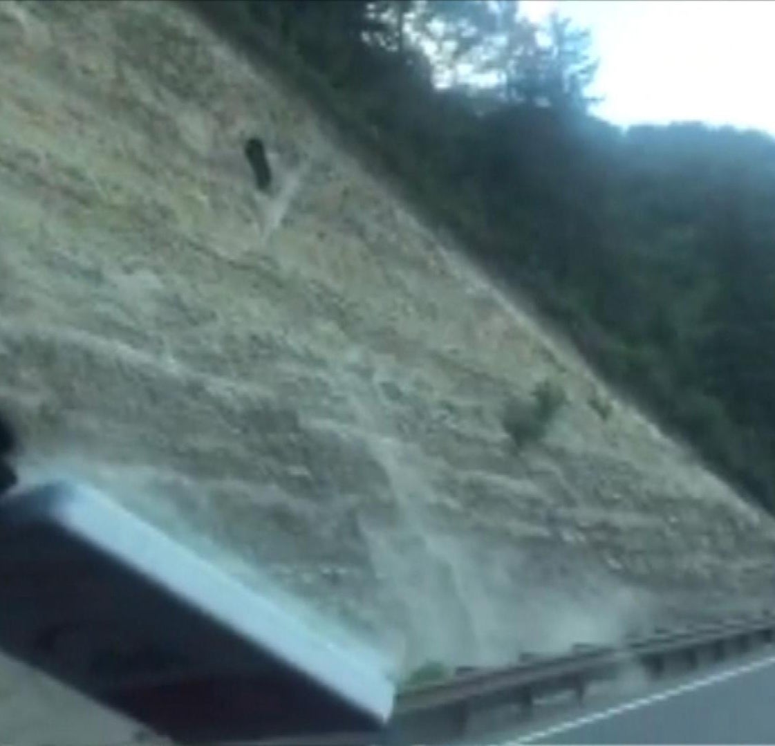 Caught On Camera: Colorado Bear Takes A Tumble Down Slope In Edwards ...