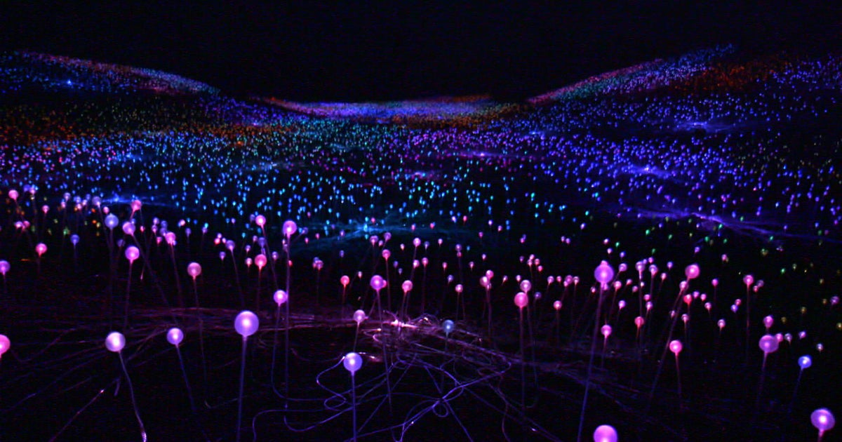 American Wonders: California's glowing "Field of Light" - CBS News