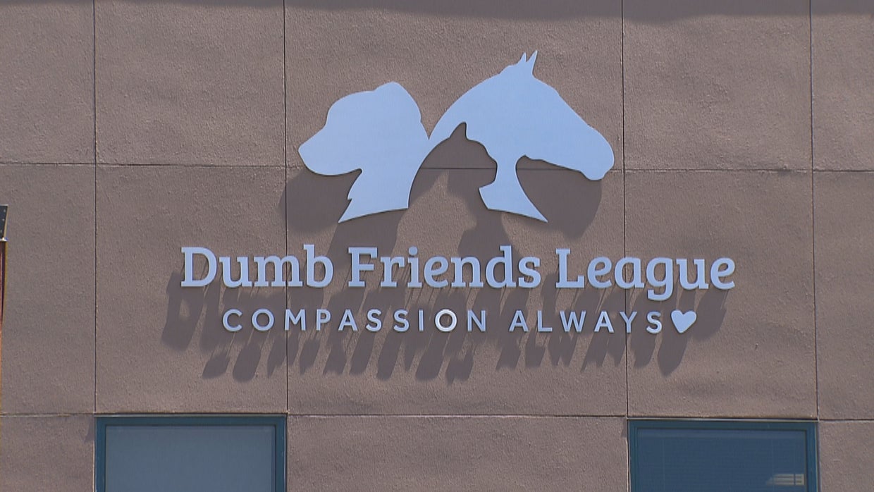 Dumb Friends League To Get A Facelift On Day Of Service - CBS Colorado