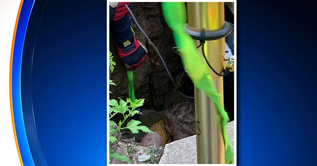 'Mike! Mike! I'm In The Hole!': Long Island Man Recounts Horror Of Wife ...