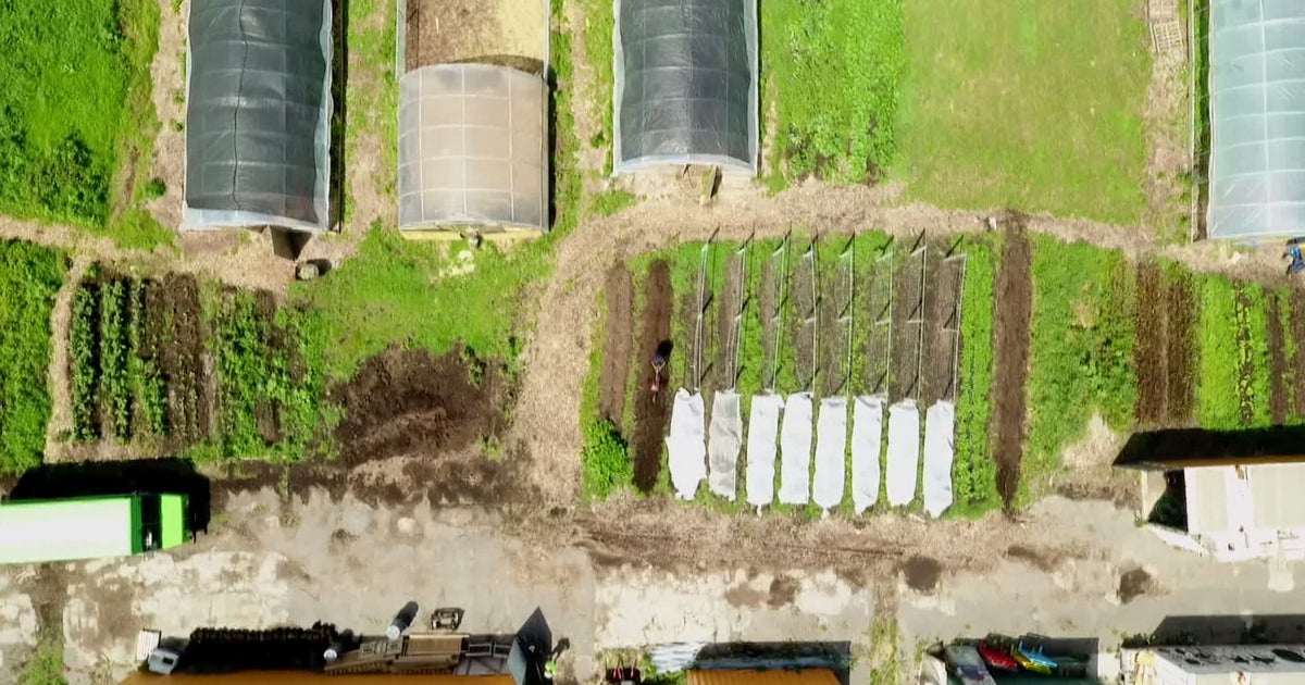 Urban Farms Helping Chicago Neighborhoods Grow More Than Vegetables ...