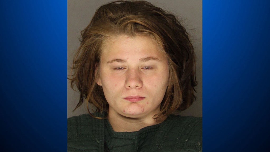 Police: Woman Allegedly Kidnapped Boy From Pool 'So One Day [Her ...