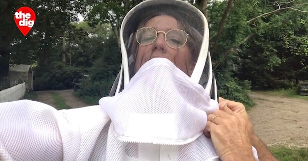 Backyard Honey: Long Island Beekeeper Keeps It Local - CBS New York