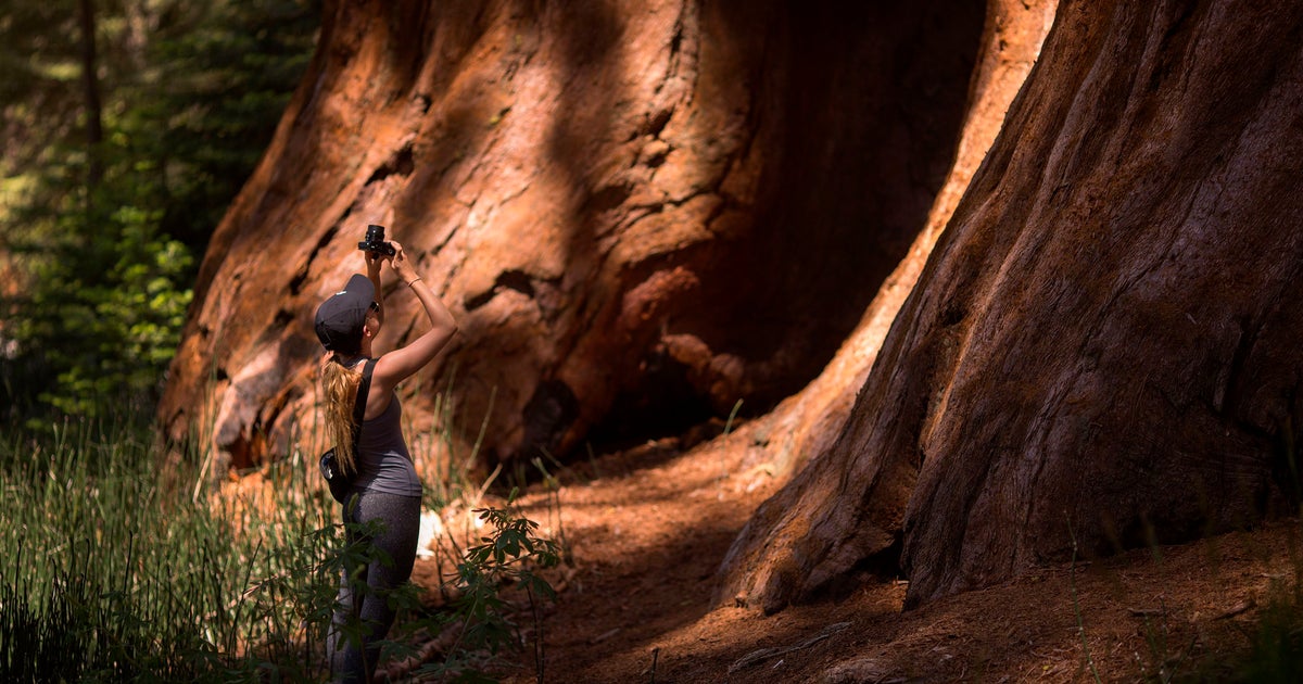 7 Ways To Stay Safe In National Parks - CBS Detroit