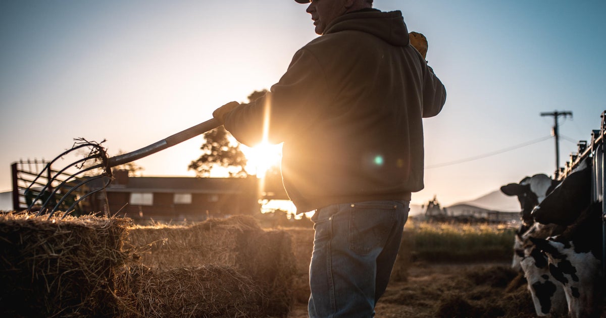 UN climate change report says food is becoming scarcer and more ...