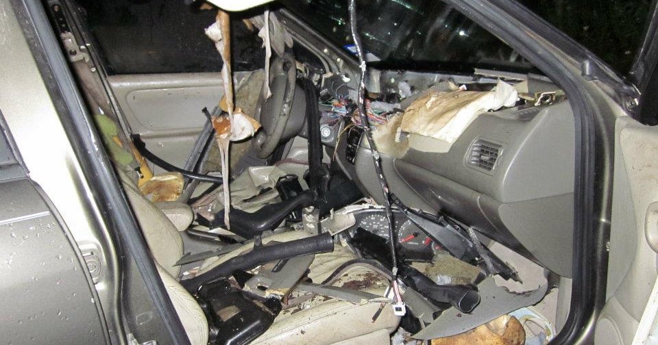 Bear Destroys Car Left Unlocked In Pitkin County - CBS Colorado