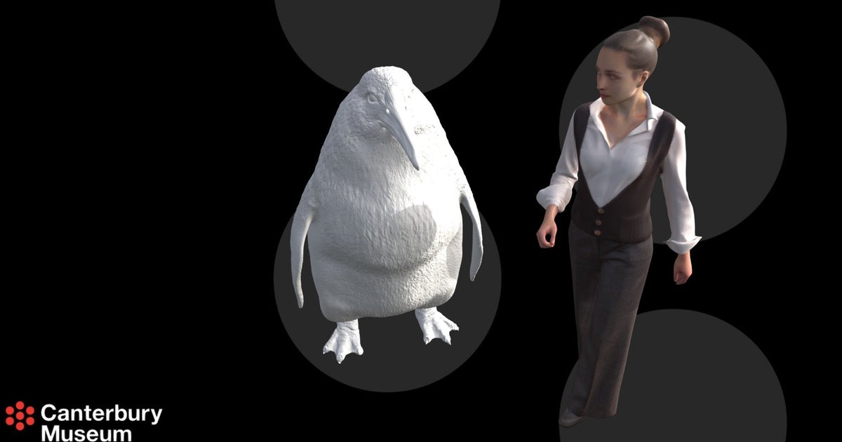 A Human-Sized 'Monster Penguin' Once Lived In New Zealand - CBS Pittsburgh