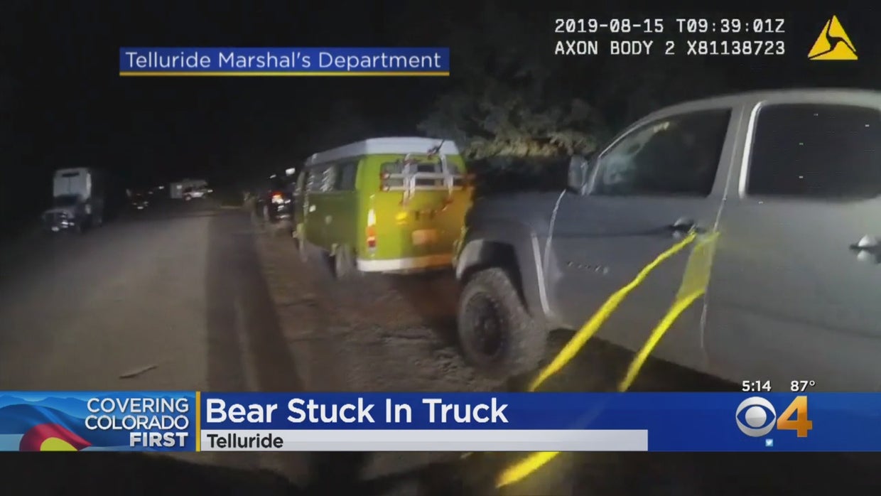 Hungry Bear Escapes From Truck In Telluride Thanks To Rope, Help From ...
