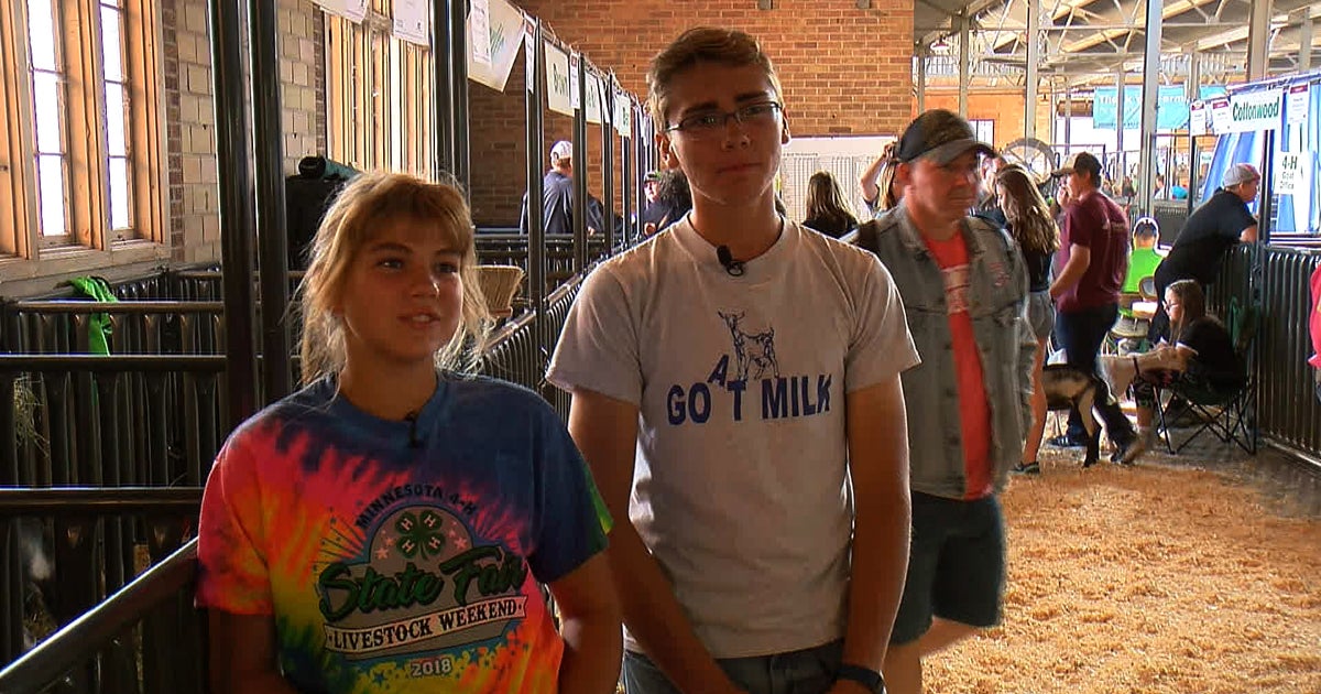 Showing Goats At The State Fair: A Penegor Family Tradition - CBS Minnesota