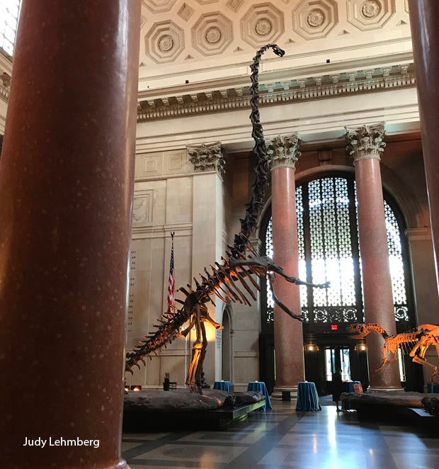 Nature up close: A trip to the American Museum of Natural History - CBS ...