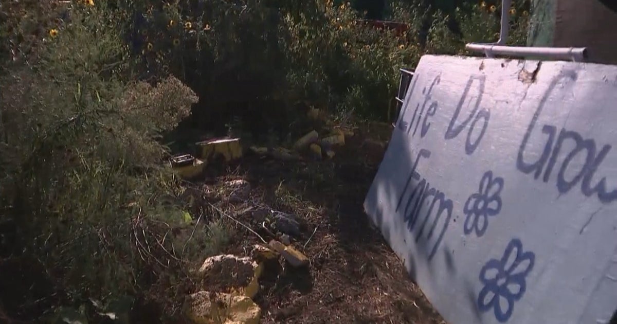 How An Urban Farm Is Helping Rejuvenate A North Philadelphia ...