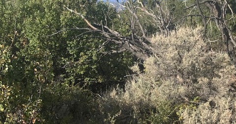 Hunt Fire Nears 2,000 Acres Near Meeker - CBS Colorado