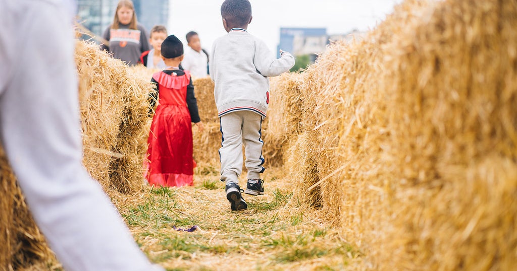 Inner Harbor's Rash Field Transforms Into A Fall Extravaganza For The ...