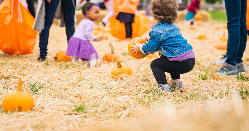 Have some fall fun this weekend in Baltimore - CBS Baltimore