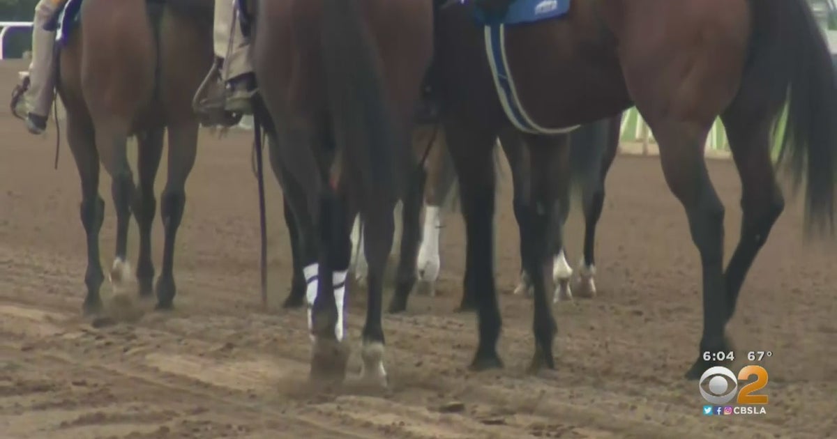 On Second Day Of Fall Racing Meet, Another Horse Euthanized At Santa ...