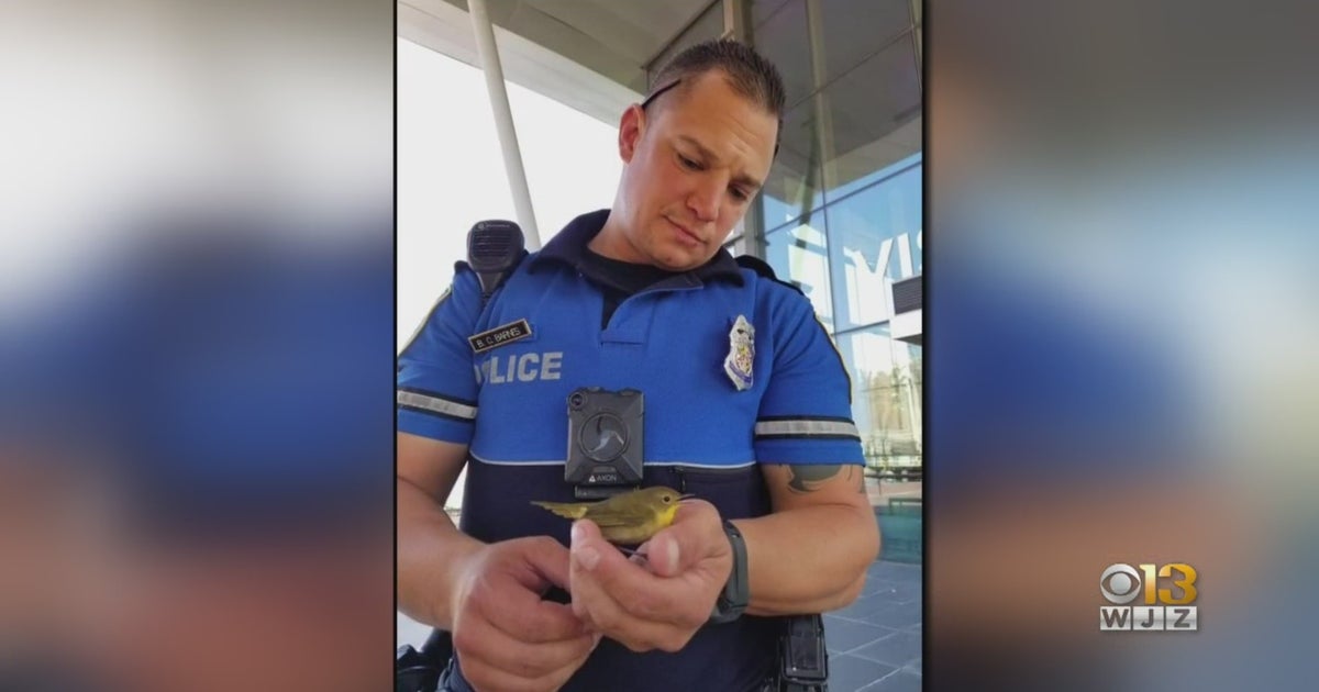 Baltimore City Police Officer Helps Injured Bird Near Visitors Center ...