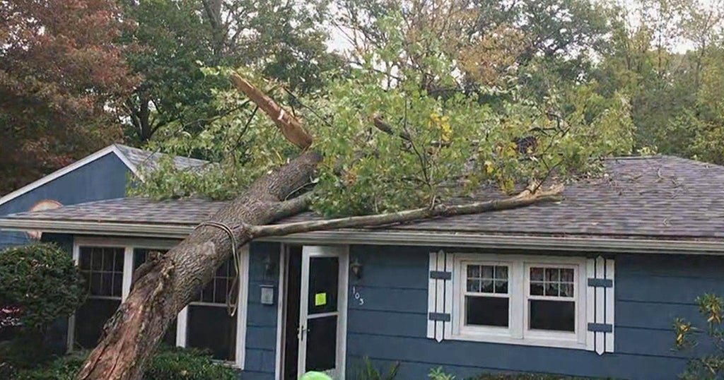 Tree Crashes Through Roof Of Auburn Home - CBS Boston