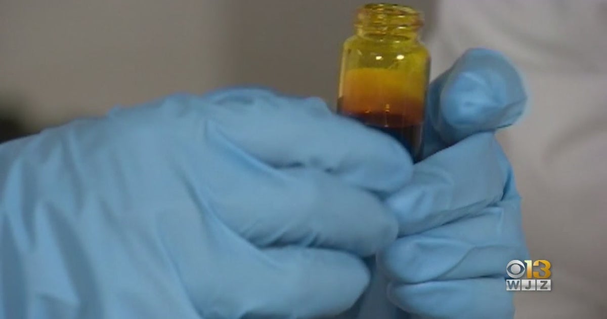 CBD Oil Emerging As New Treatment Option For Pet Owners - CBS Baltimore