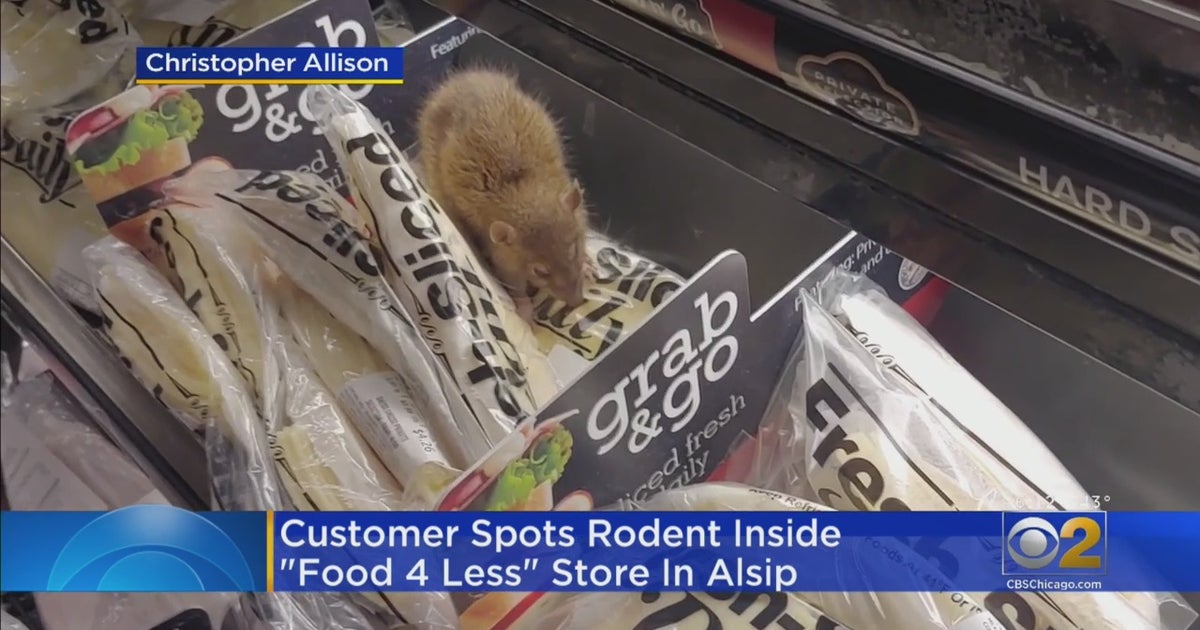 Video Shows Mouse Eating Cheese At Grocery Store Deli Counter - CBS Chicago