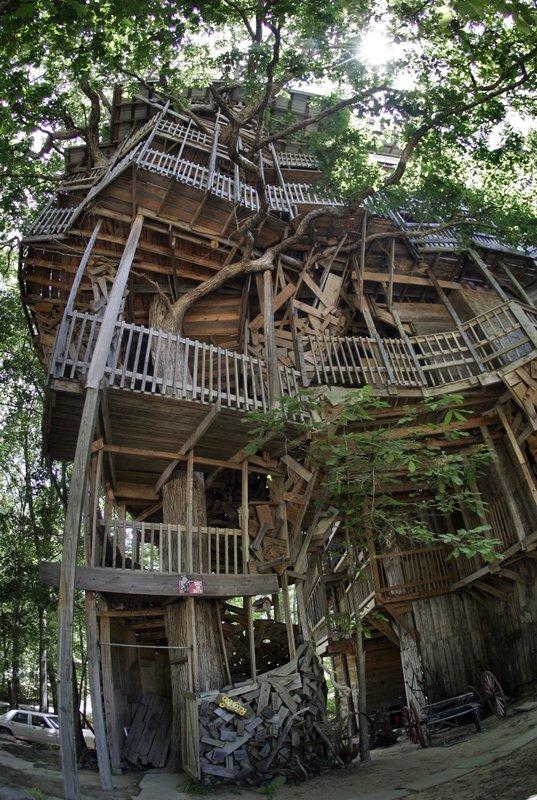 Crossville treehouse fire: World's largest treehouse burns to the ...