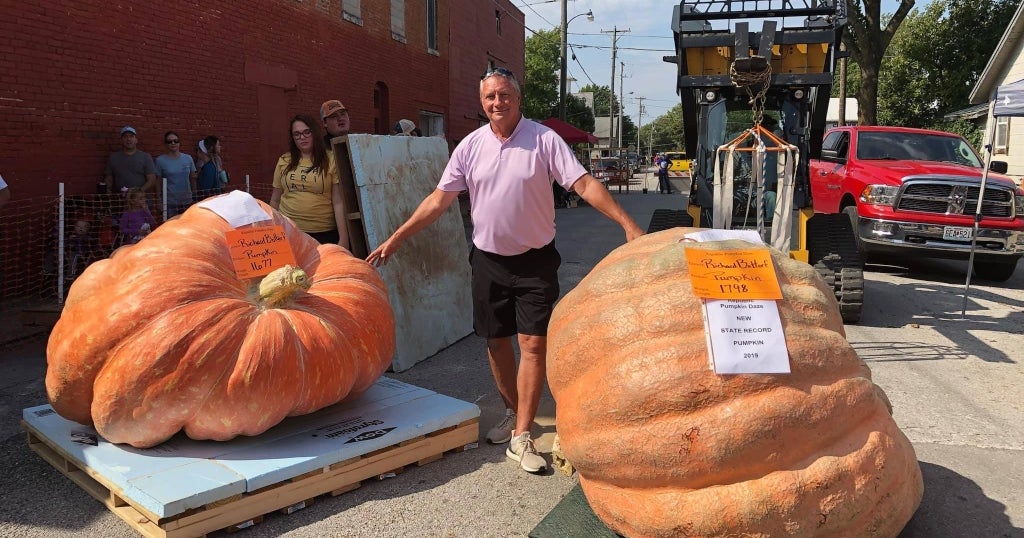 Man Breaks State Record With Nearly 1,800 Pound Pumpkin - CW Tampa