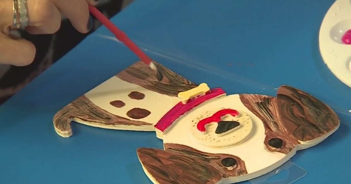 SPCA Hosting Winter Kids Camp At Adoption Center - CBS Sacramento