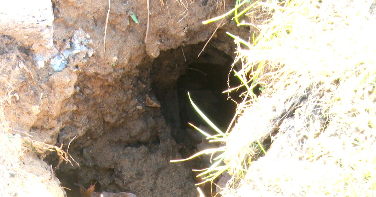 Another Visit To The Troubled Homewood Memorial Gardens Cemetery, And ...