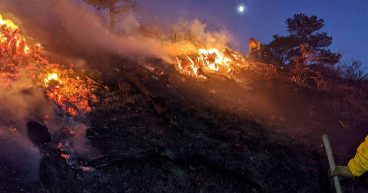 No Growth Overnight On Apex Fire, Crews Continue To Monitor - CBS Colorado