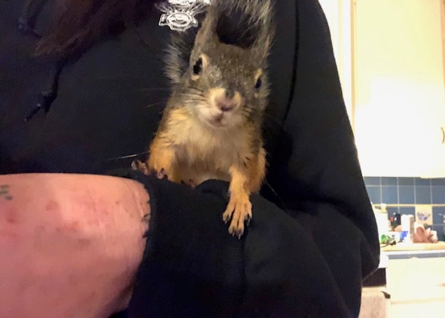 'I Just Want My Baby Back' Sacramento Woman Searching For Missing ...