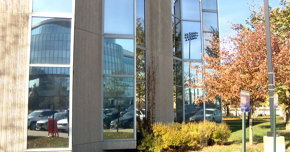 Bird-Friendly Windows Display Success In Reducing Bird Deaths At ...