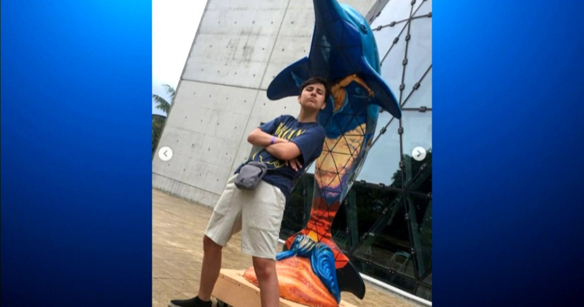 Tried As Juvenile Or Adult? Hearings Continue For STEM School Shooting ...