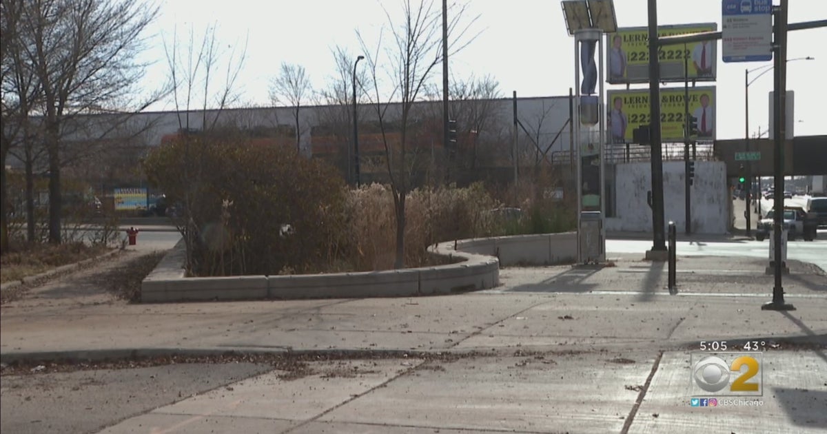 City Helps To Clean Up 'Greenest Street In America' After CBS 2 Report ...