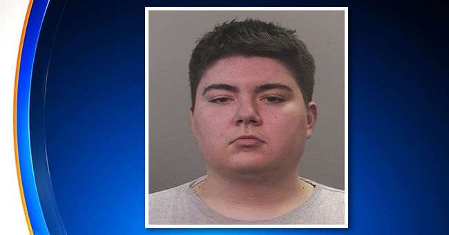 LI Man Charged With Animal Cruelty After Kittens Found Dead Near Trash ...