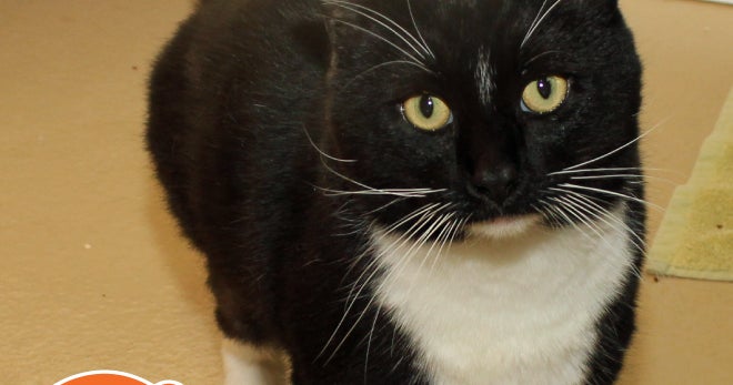 Furry Tails: Frankie, Stella, And Madeline & Miranda Are Waiting For ...