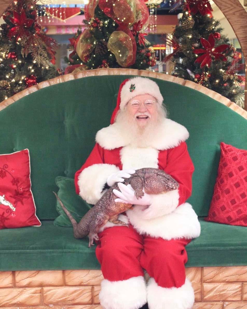 Awkward mall Santa photos