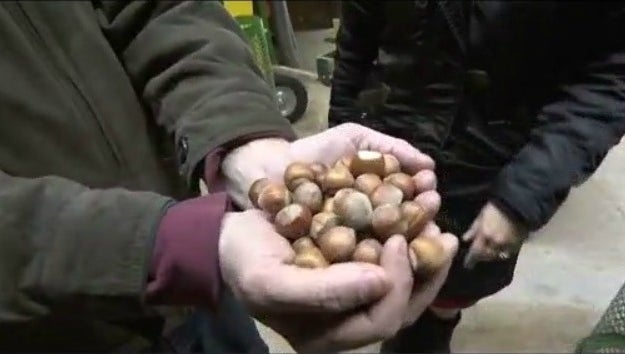 New Jersey Researchers Making Strides In The Commercial Growth Of ...