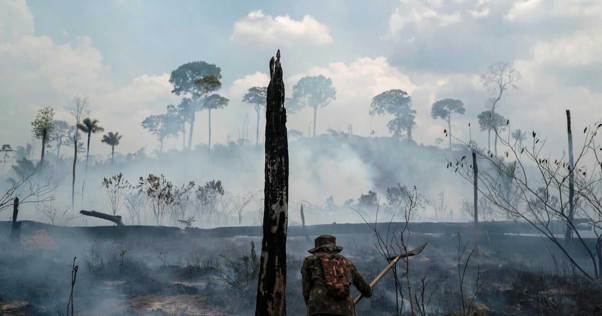 Top photos of 2019: The year in pictures
