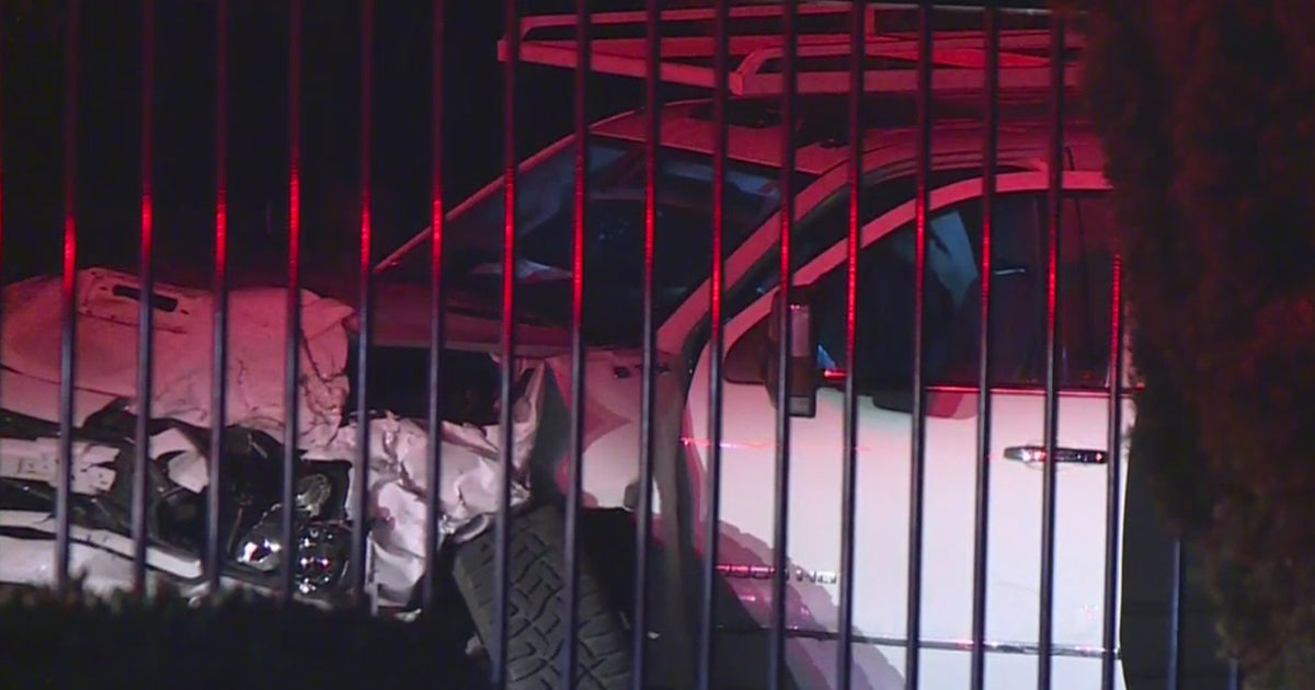 Woman, Dog Die After Broadside Crash In South Sacramento; DUI Suspect ...