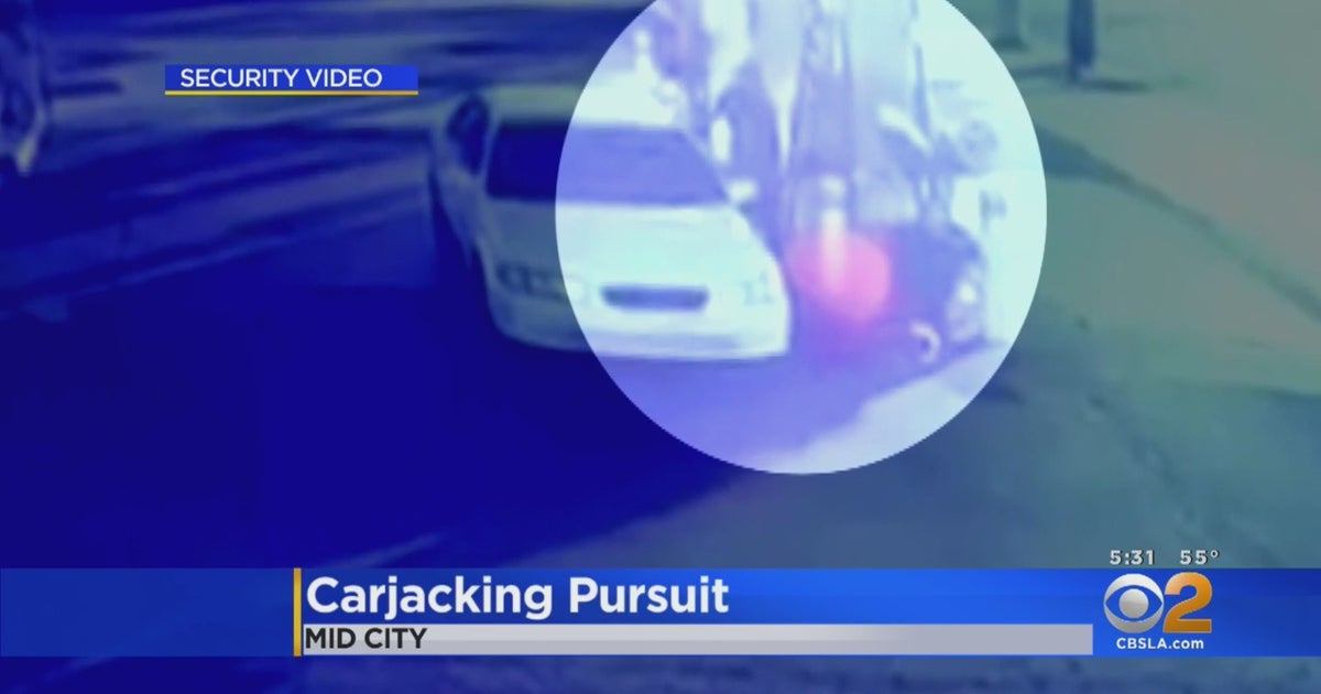 Caught On Camera Security Video Shows Carjacking Suspect Attacking 81