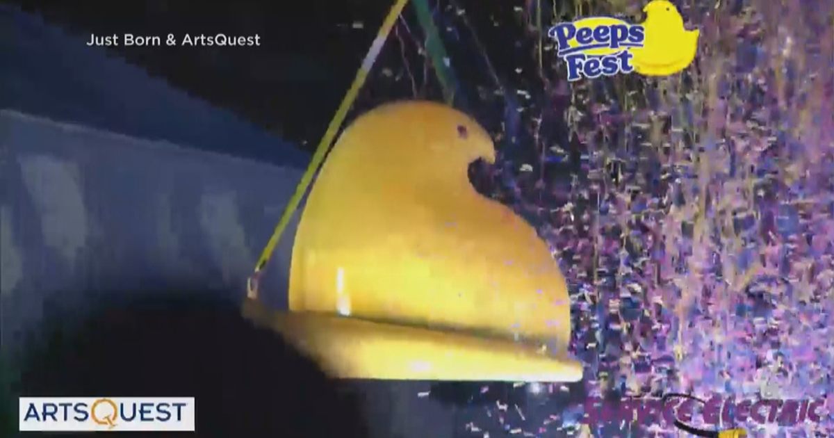 Northampton County Celebrates New Year By Dropping Giant Peeps Chick ...