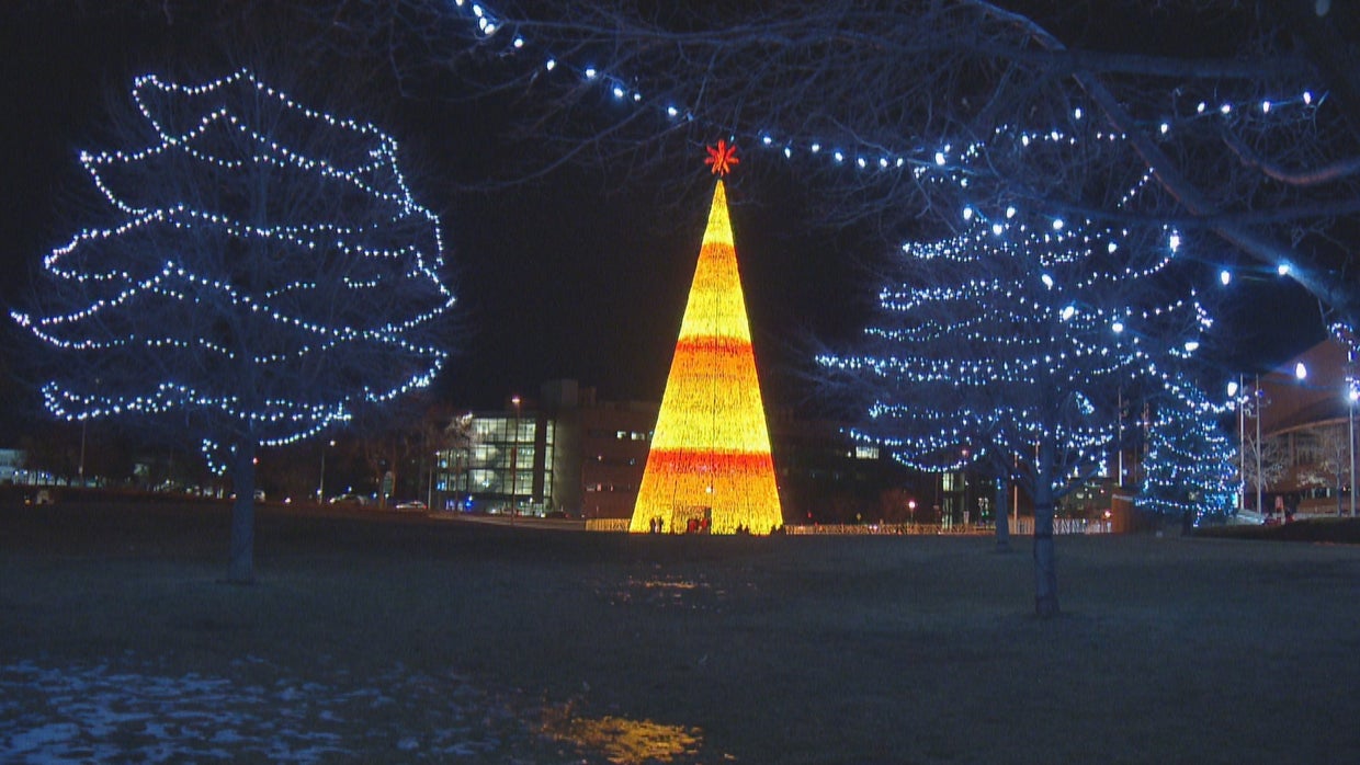 Denver Animator Takes On Challenge Of Programming The Mile High Tree ...