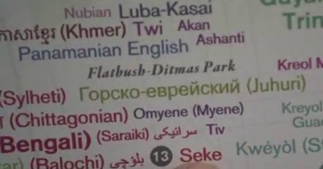 NYC Launches 'Language Access For All' Program To Improve Outreach ...