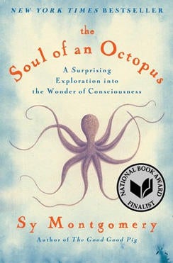 The octopus is one of the most bizarre life forms on Earth – one of the ...